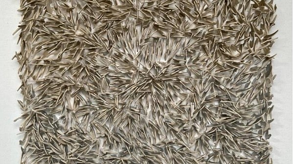 This hotel in Mumbai turns host to the genius of 6 Gen-Z artists