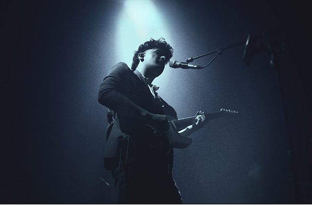 Ankit Shrestha's India Tour: Indie/Folk Sensation's Journey