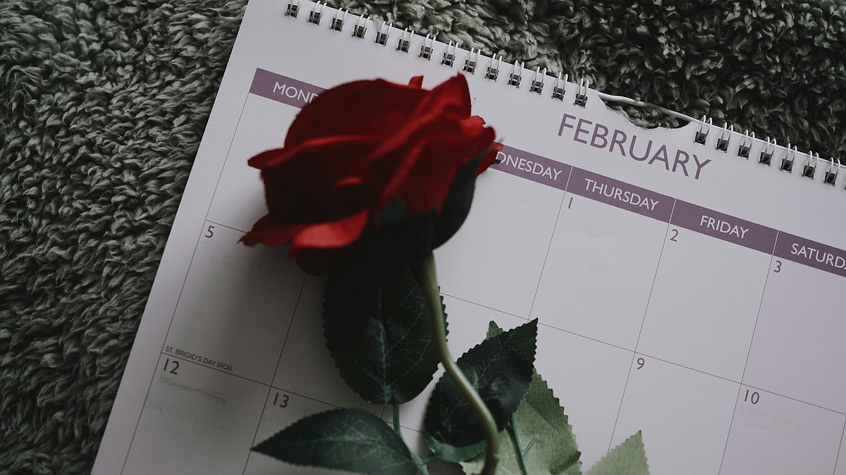 Perfect February- why it became an internet obsession on X