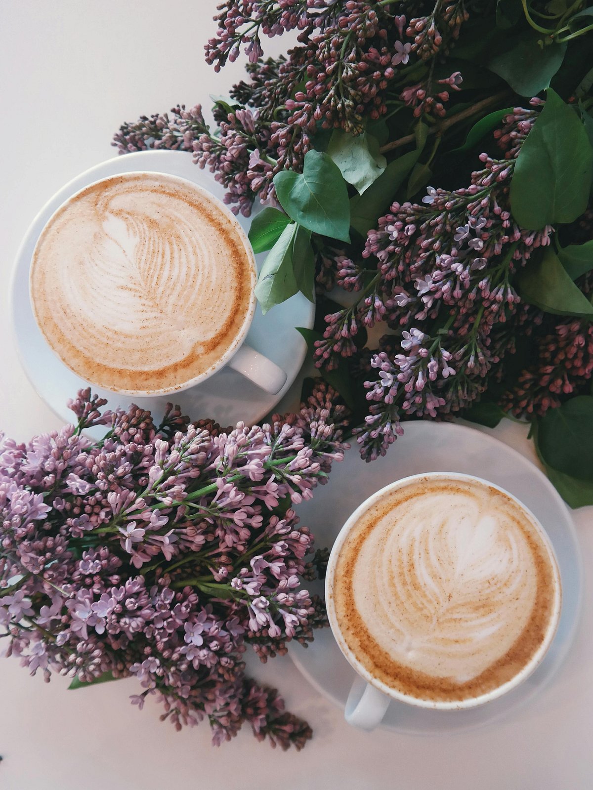 Unique Types of Coffee to Try: 7 Rare & Famous Brews Worldwide
