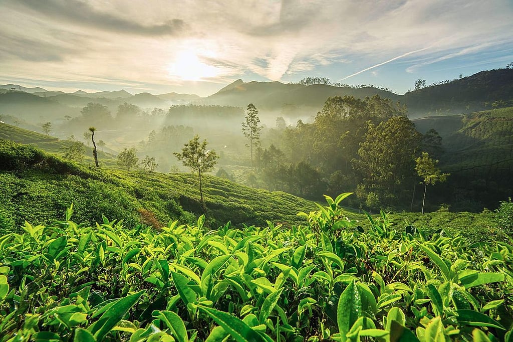 Five ways to explore the natural beauty of the Ananthagiri Hills