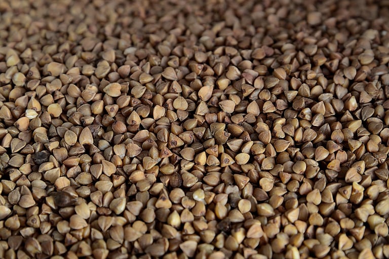 Here are some reasons why millets are the superfood you need for better ...