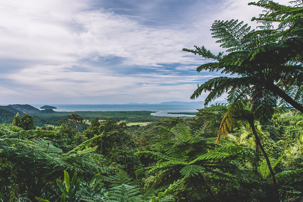 Five of the oldest rainforests in the world