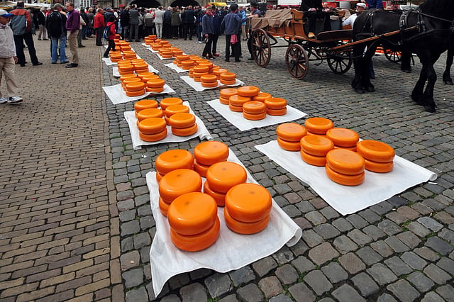 The unique world of rare cheeses