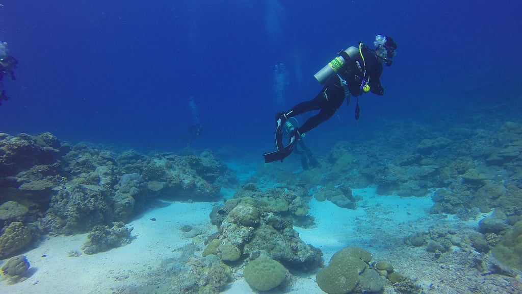 Top 5 scuba diving destinations in India for an unforgettable ...