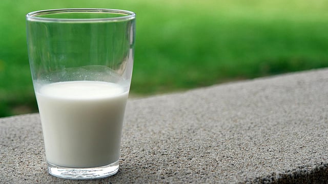 World Milk Day 2025: What makes Donkey Milk one of the most expensive ...