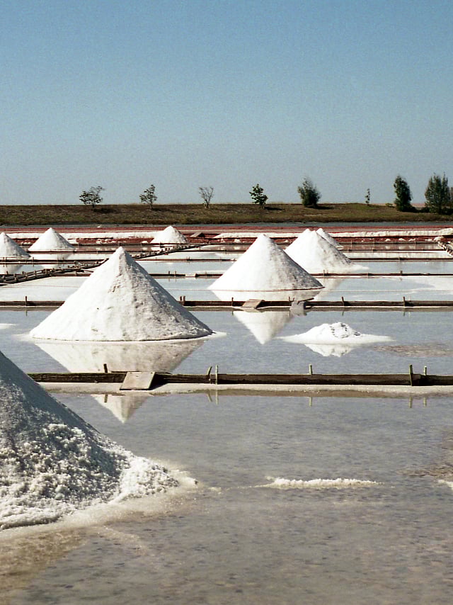 Salt Farms in India, you need to know about