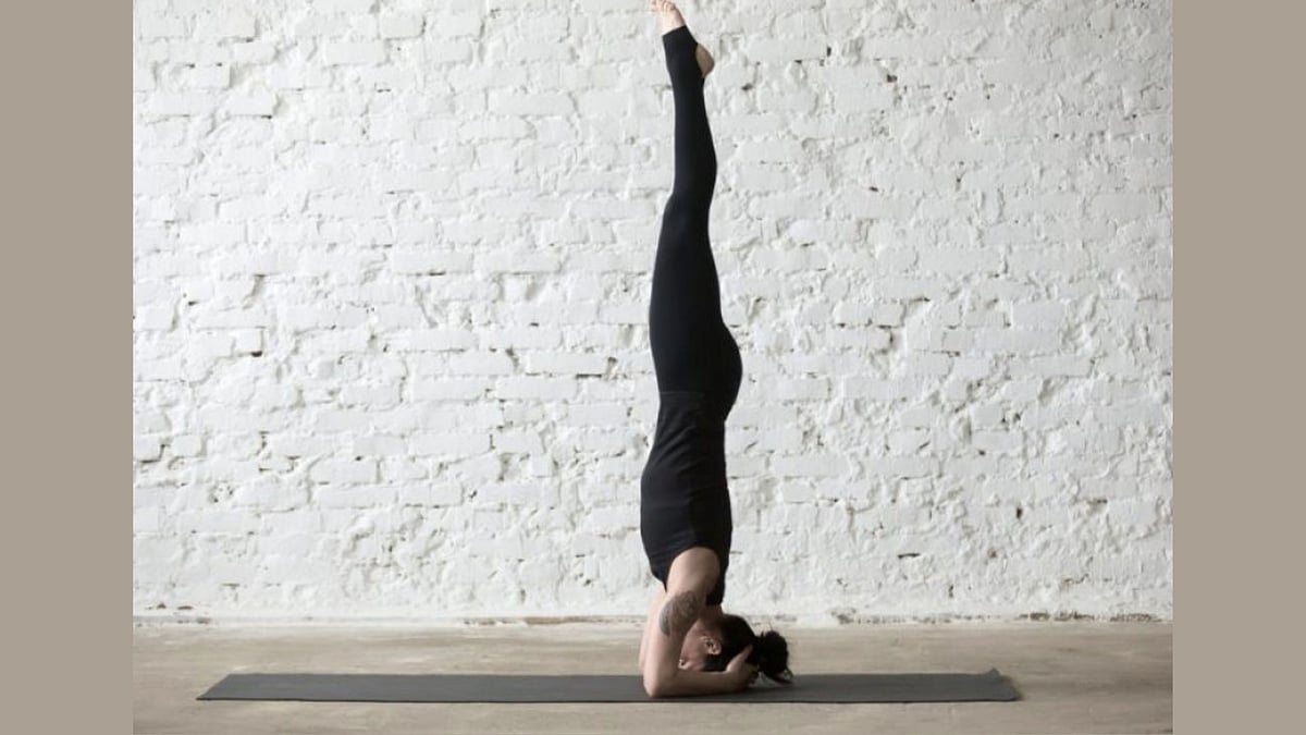 What are the benefits of practising headstands daily?