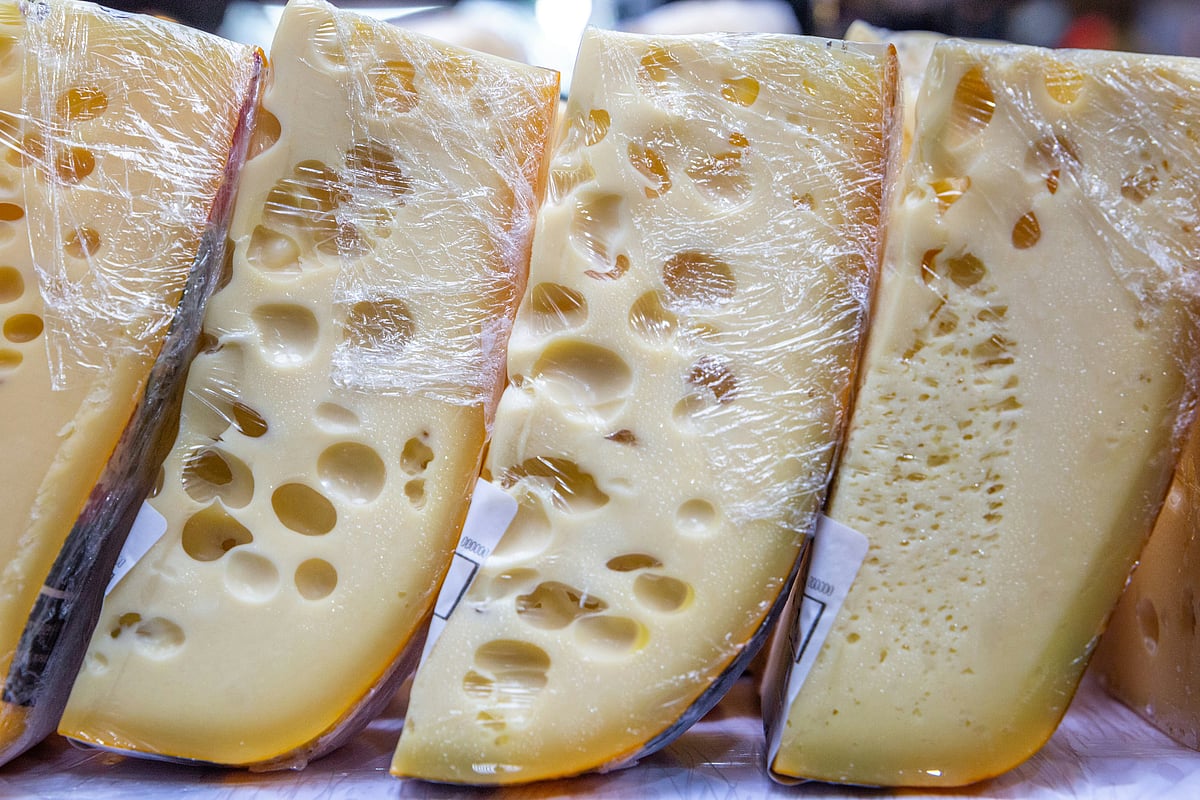 Why do some cheese have holes and how are they formed?