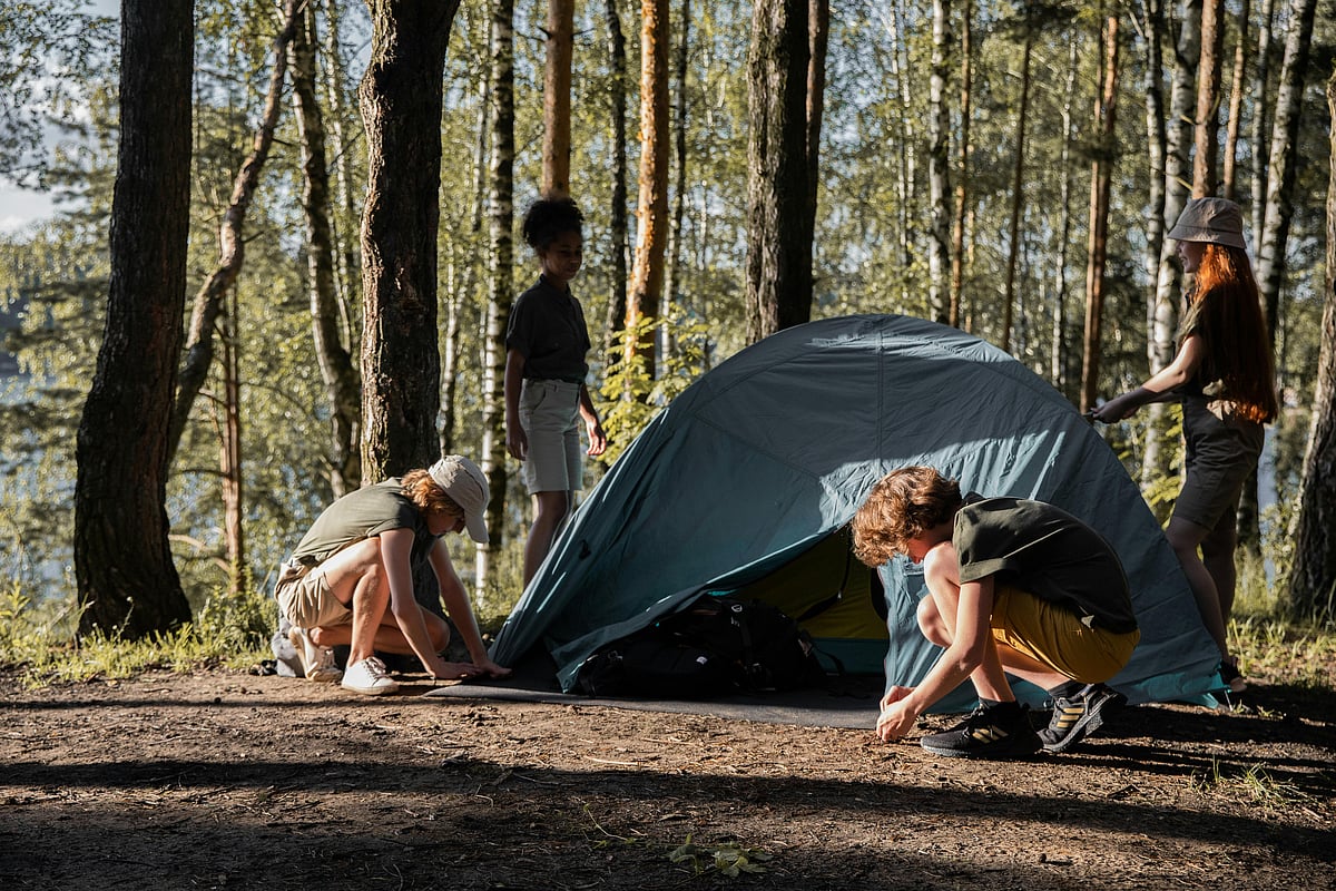 Practical tips for forest camping