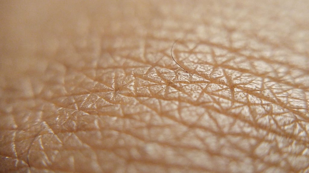 How to spot the difference between dry and dehydrated skin