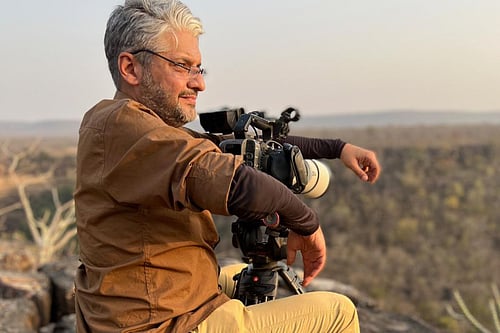 Web series Tiger Legacy chronicles Tadoba’s iconic tiger dynasties