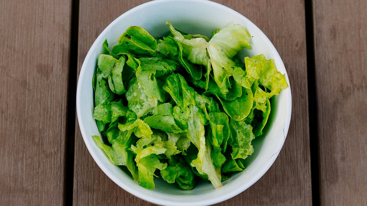 Stop your lettuce from wilting with these six anecdotes