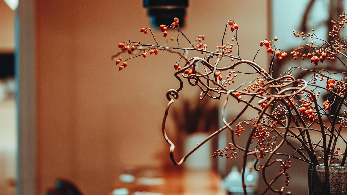 Have you heard of this Tokyo pop-up cafe that gets your order wrong?