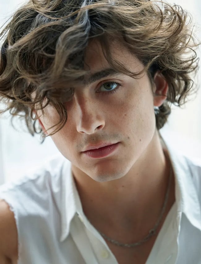 who were the girl Timothée Chalamet dated before Kylie Jenner