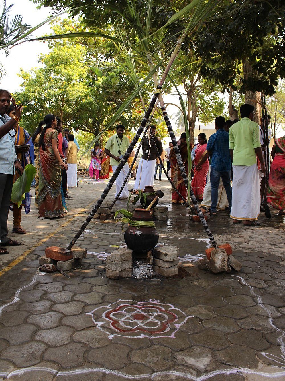 Must-try foods of Pongal: 5 dishes that celebrate the harvest