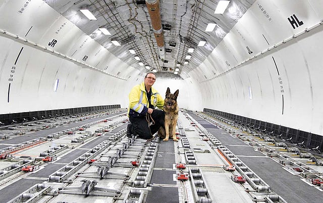 6 airports that offer the best transit & cargo facilities for pets