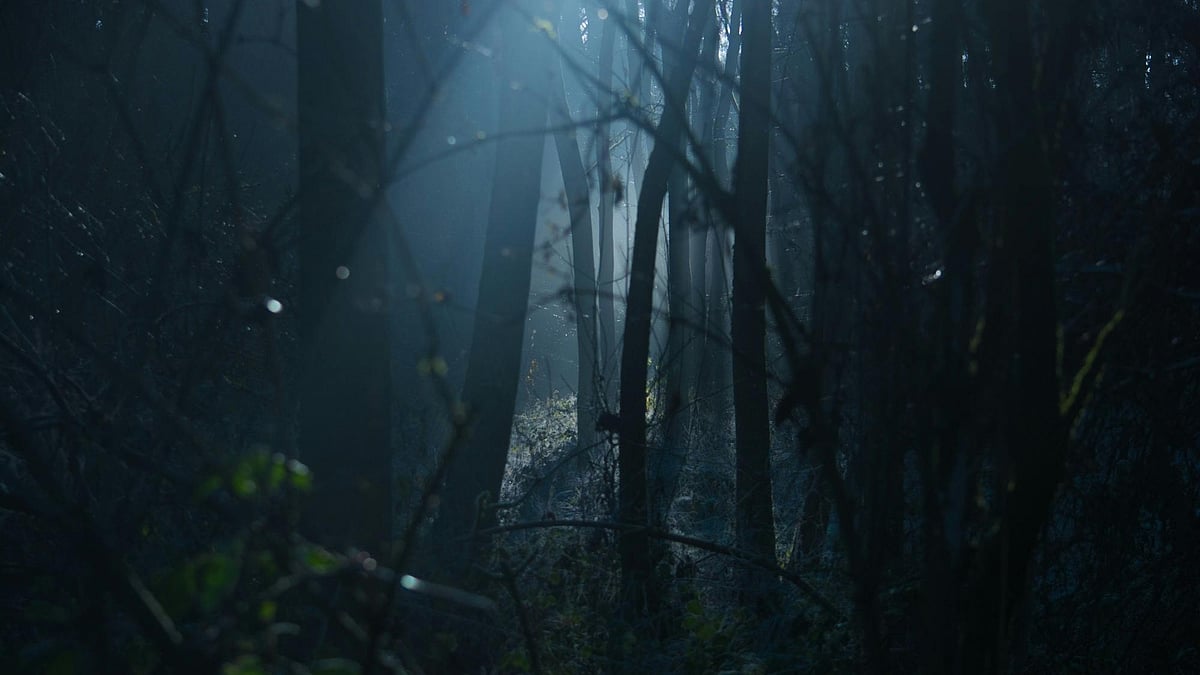 Zombie horror comedy Zorr to hit the screens on February 6