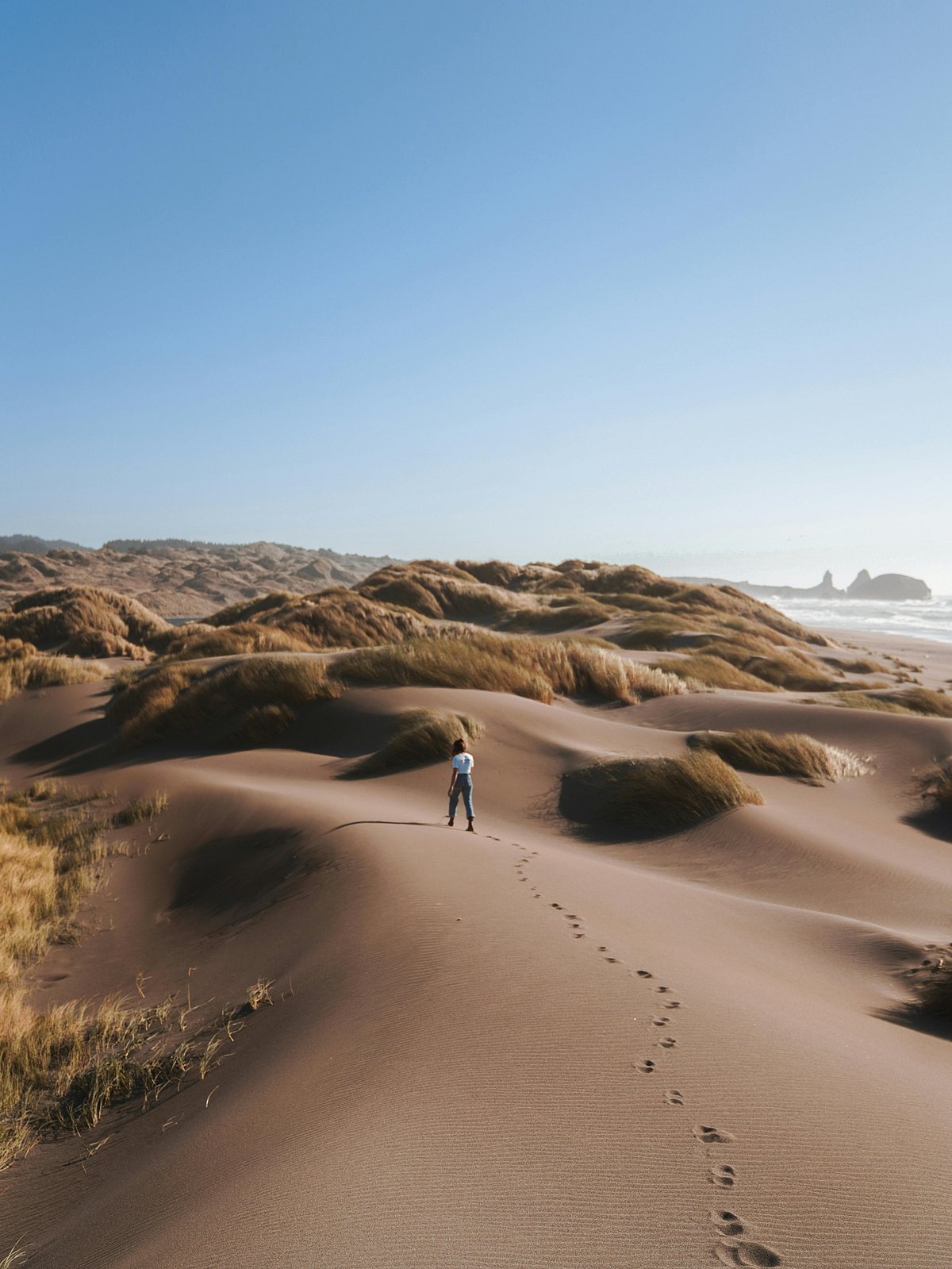 5 desert national parks you should explore