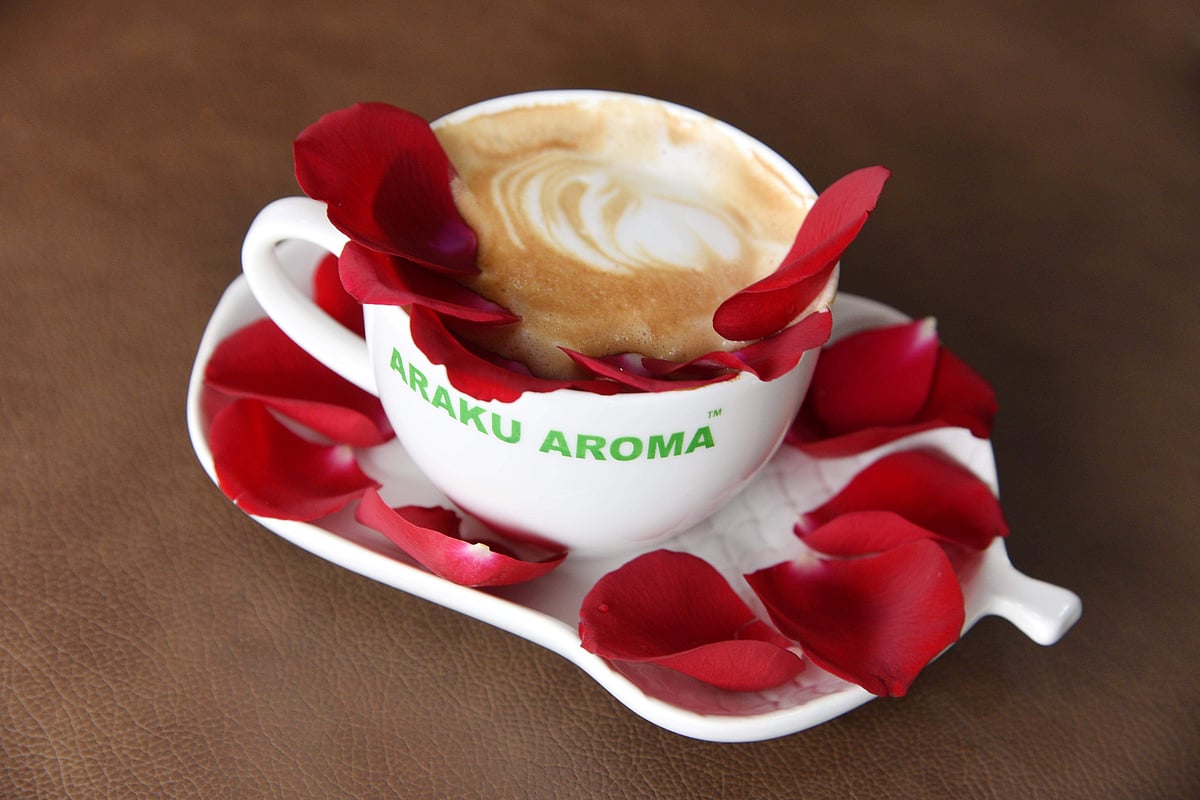 Review: Araku Aroma Coffee celebrates beans from Araku valley as they ...