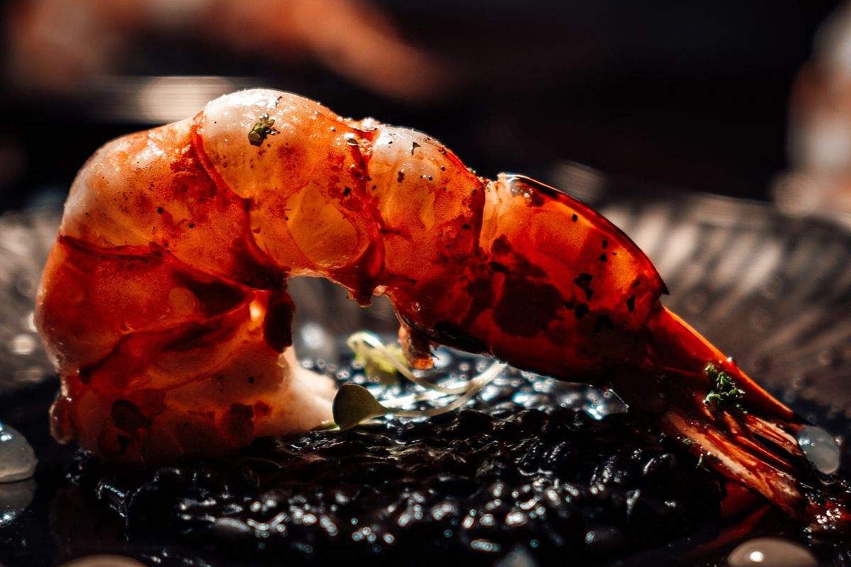 Benefits of adding the brain-boosting magic of shrimp to your daily diet