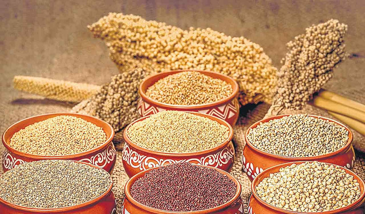 The International Year of Millets just got yummier with Baluchi’s new menu