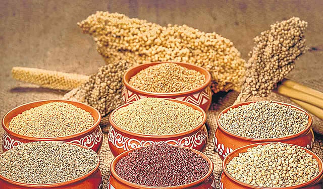 The International Year of Millets just got yummier with Baluchi’s new menu